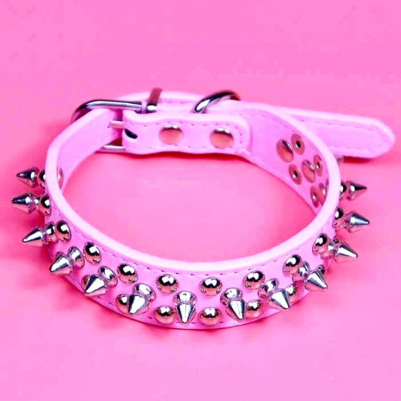 SHEIN | Dog | Host Pick Nwt Pink Dog Collar With Silver Accent | Poshmark
